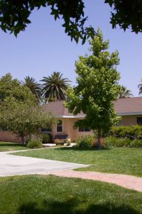 Youth Emergency Services – Operation Safehouse