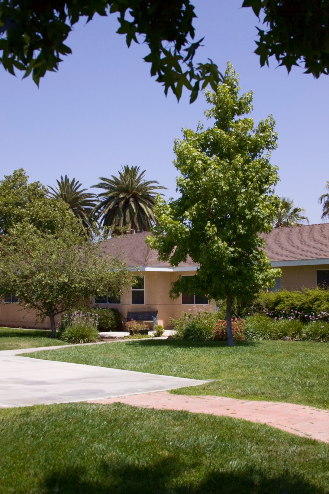 Youth Emergency Services – Operation Safehouse