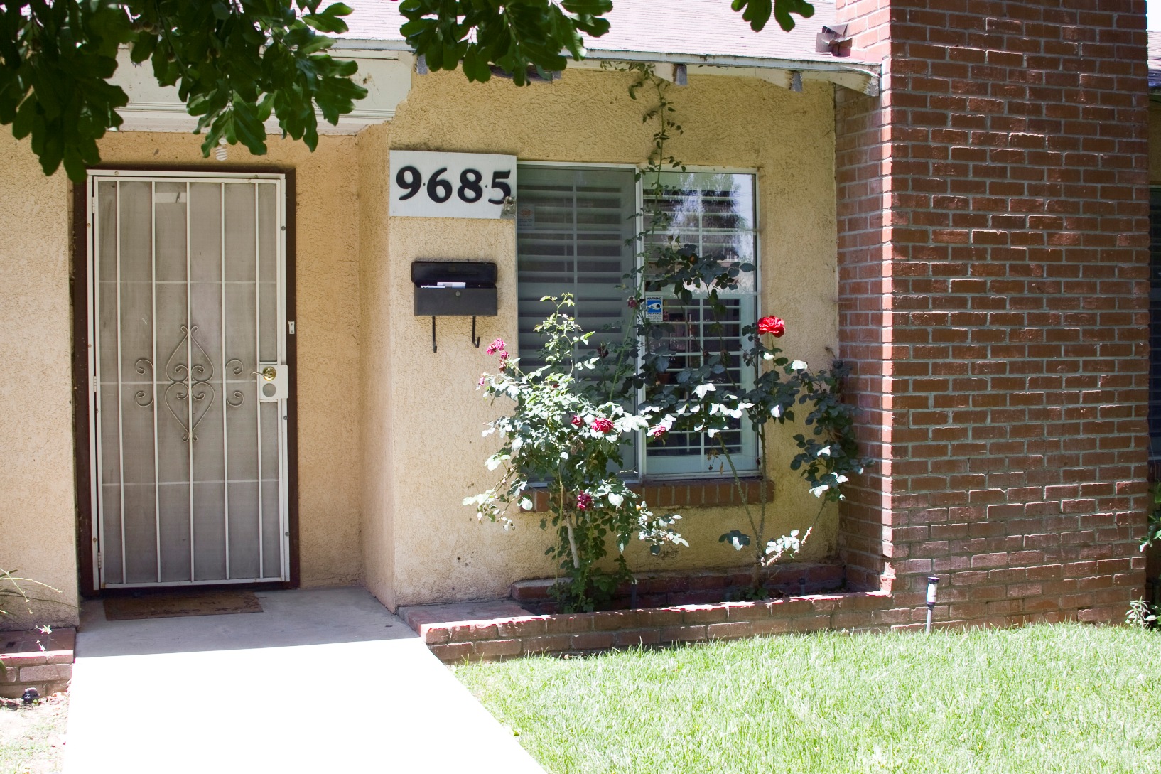 Youth Emergency Services – Operation Safehouse